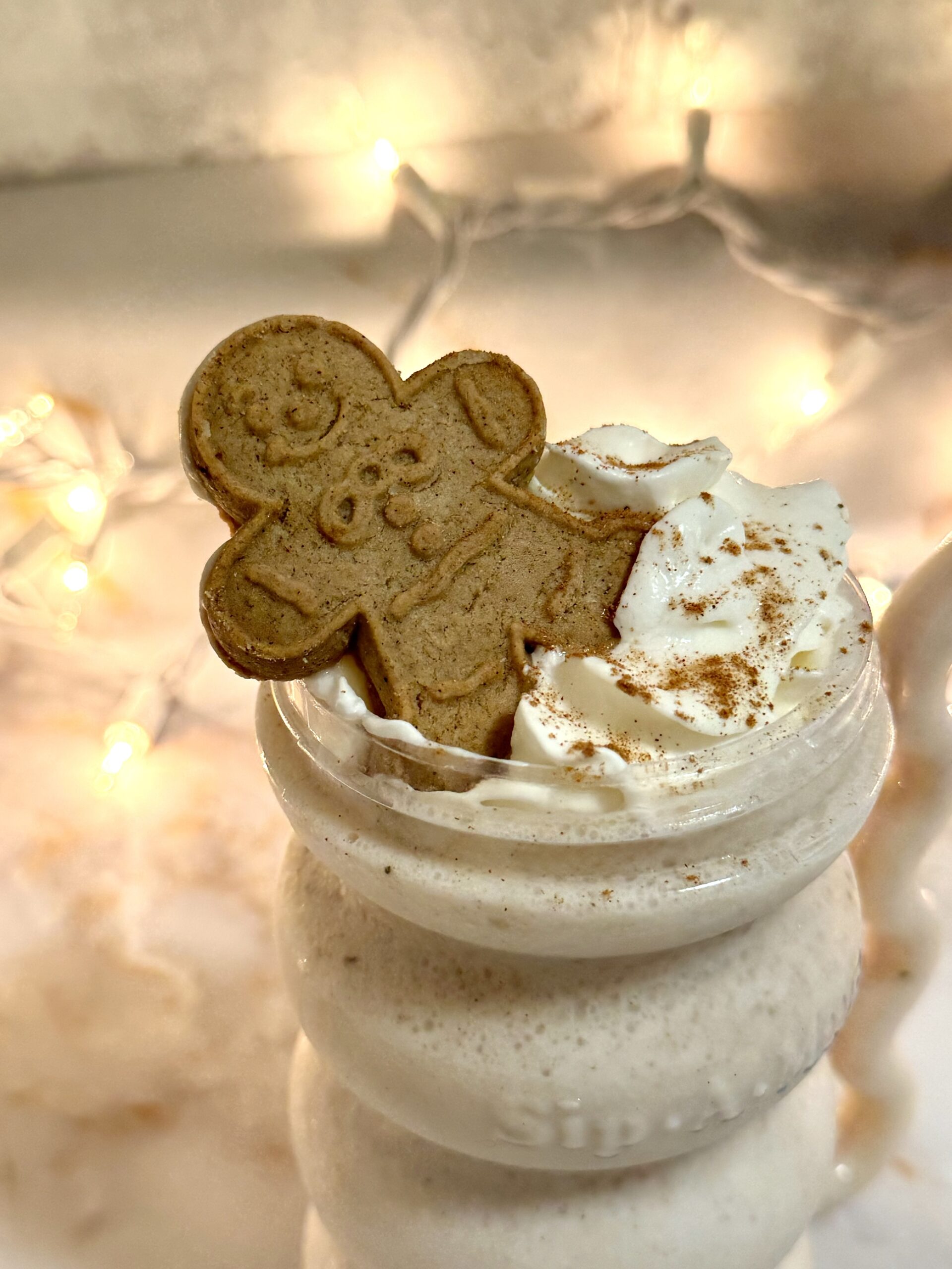 Gingerbread Smoothie Recipe - Made with Sazón